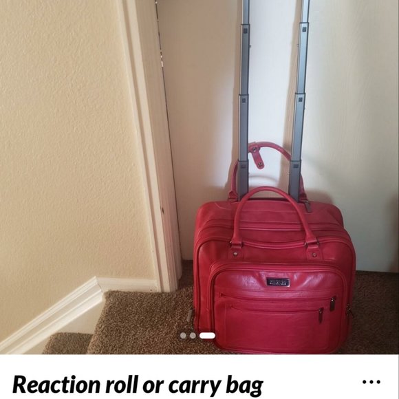 Reaction Kenneth Cole | Bags | Reaction Roll Or Carry Bag | Poshmark